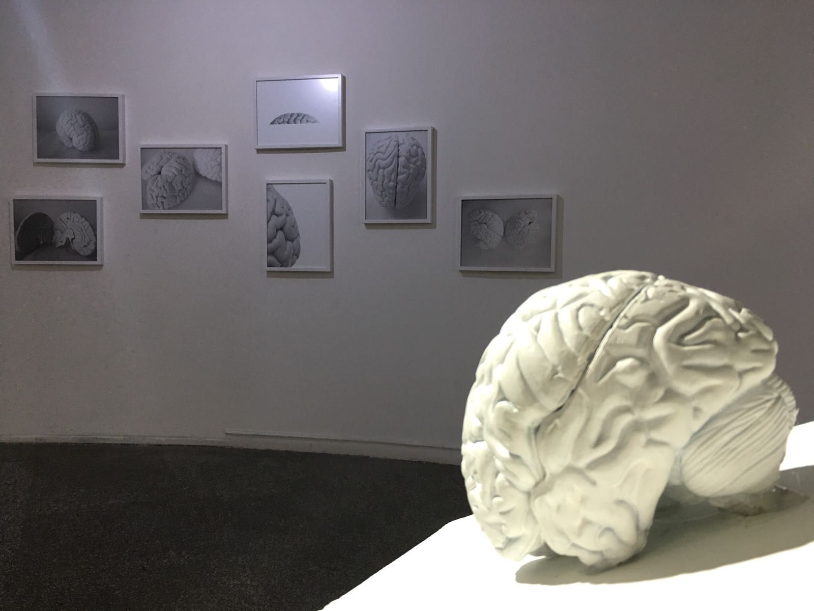 José Cosme exhibe en Bogotá su alfabeto para reflexionar sobre la ...