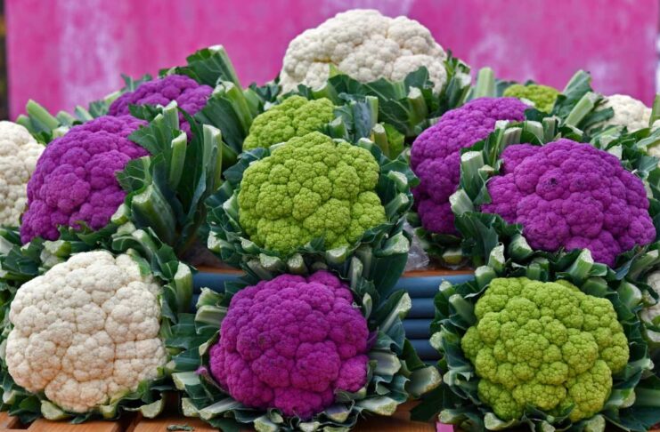 Redescubriendo la coliflor | El Digital de Asturias