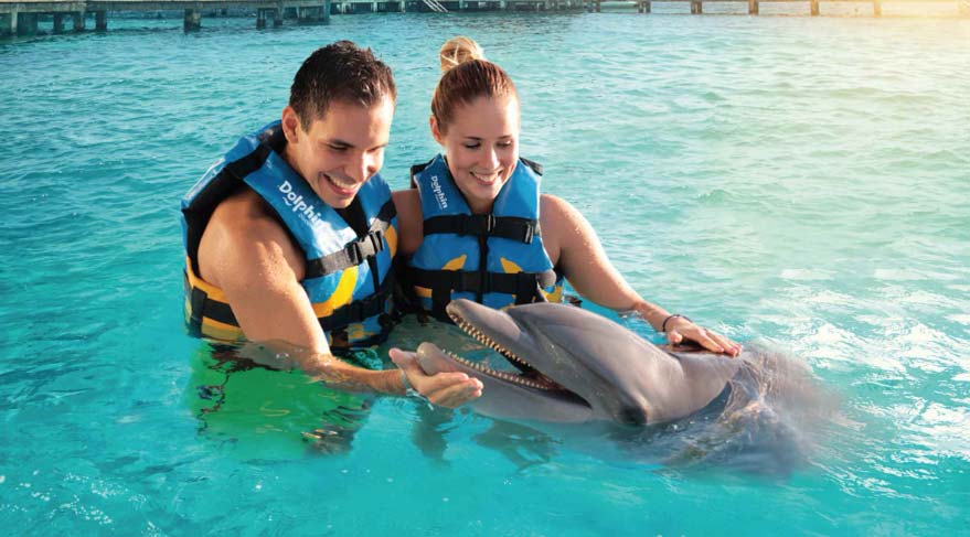 Viviendo un sueño: Nada con delfines en Isla Mujeres | El Digital de ...