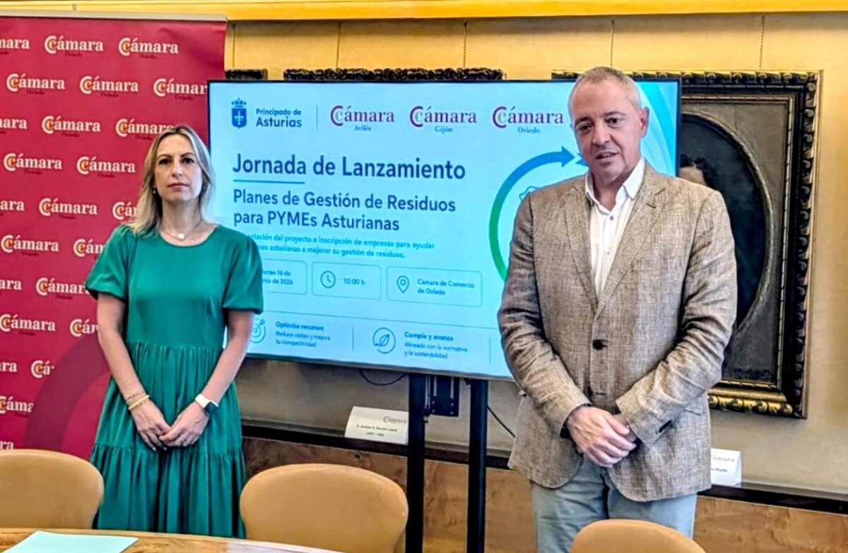 Asturias impulsa la sostenibilidad en pequeñas empresas | El Digital de ...